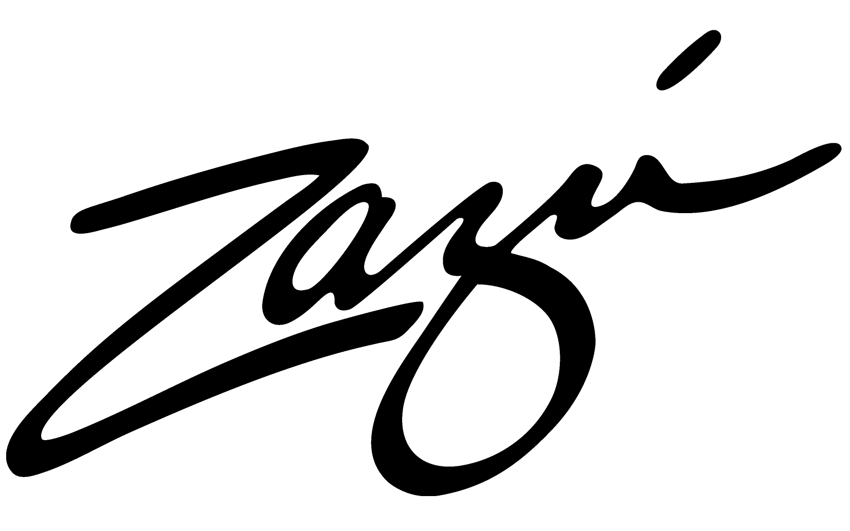 Zazú Professional – Zazu Salons